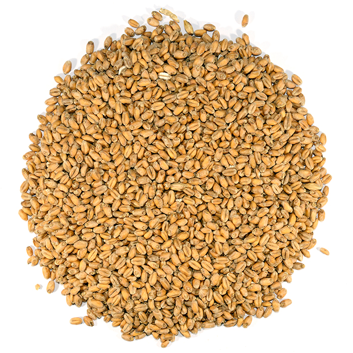 Dingemans Wheat Malt MD 25 kg - Selected Brewing Ingredients