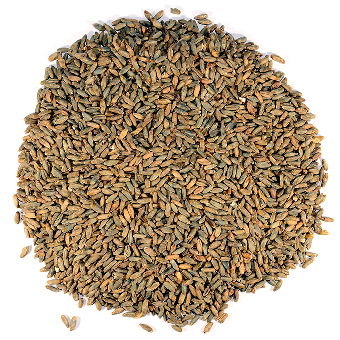 Dingemans Rye Malt MD 25 kg - Selected Brewing Ingredients